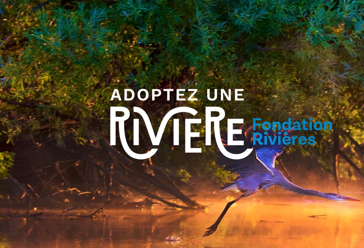 Adoptez une rivière - Rivière des Outaouais - Fondation Rivières